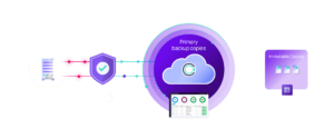 How Cove Data Protection Works - N-able
