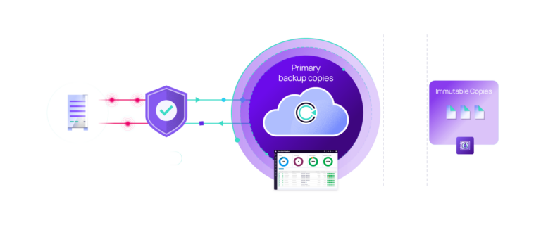 How Cove Data Protection Works - N-able